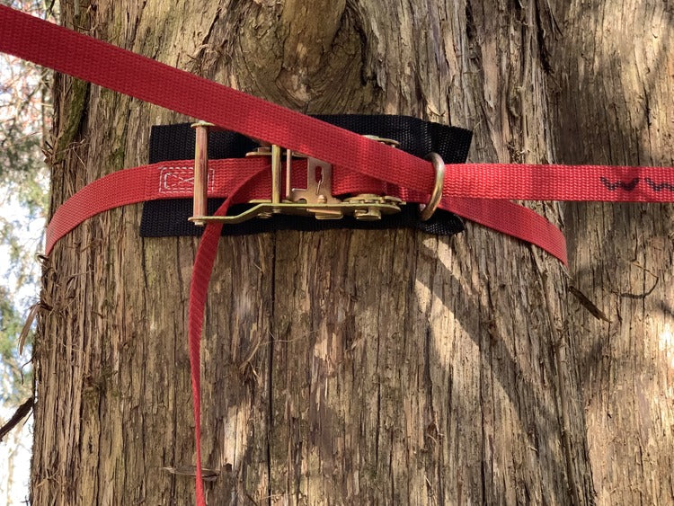 Tree Anchor Straps – Ultimate Highlines